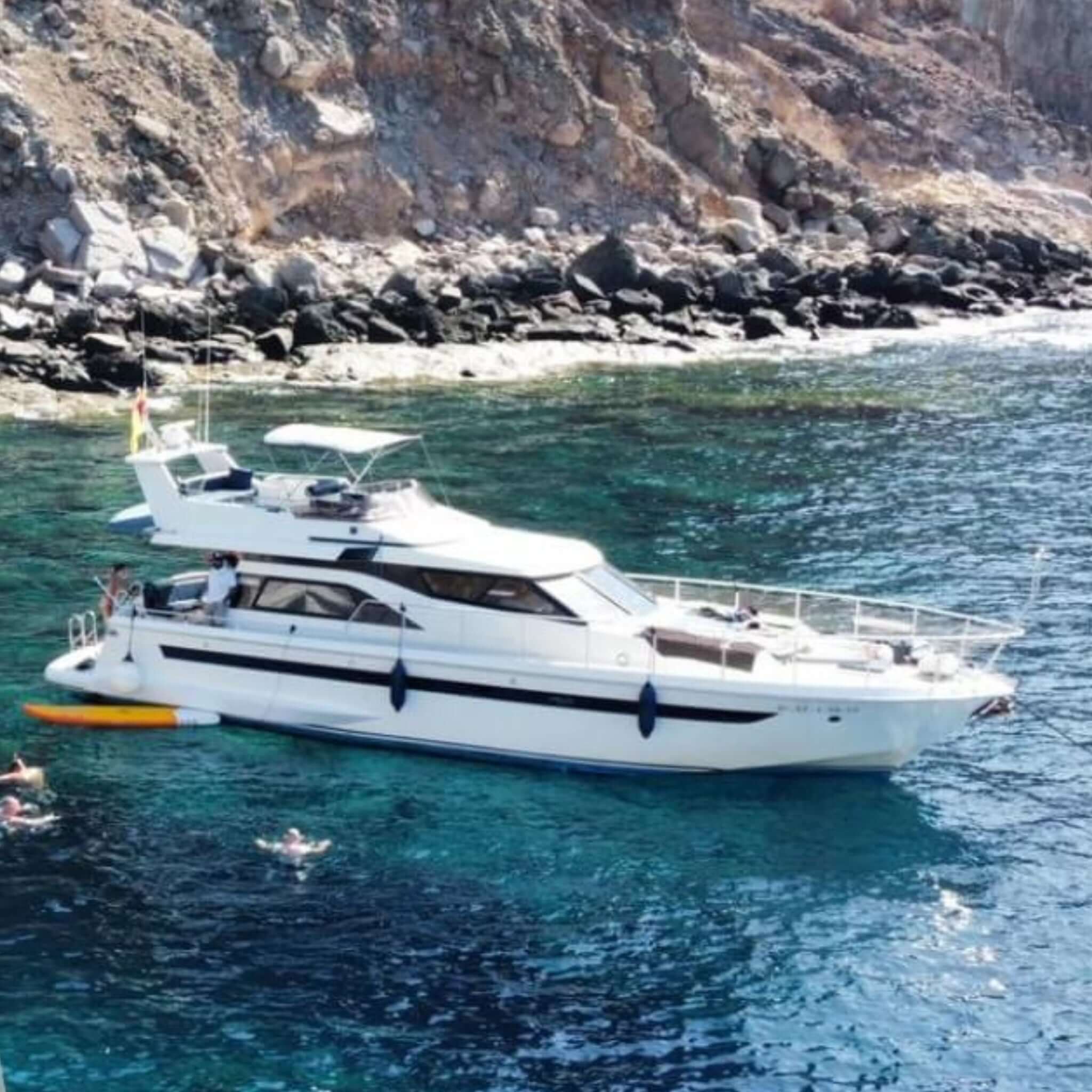 Whales & Dolphin Watching Boat Trip Gran Canaria – Discover Gran Canaria